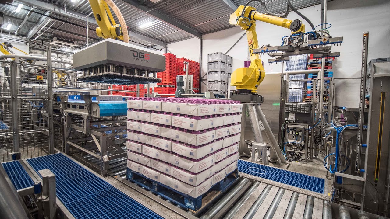 Frozen Box Stacking Solution for Efficient Pallet Handling